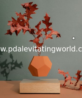 Levitating Plant Pot & Base ,magnetic floating air bonsai flowerpot for gift decoration