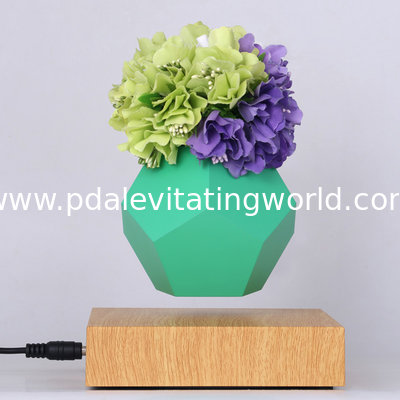 MAGNETIC levitation air bonsai plant pot black pot,floating plant pot