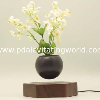 wooden base creative magnetic levitation floating air bonsai plant tree flowerpotted for gift
