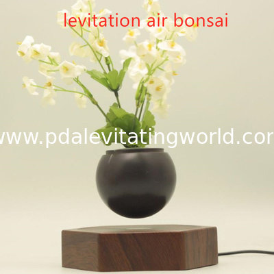 360 rotating magnetic levitation floating bottom air bonsai plant tree plant vase