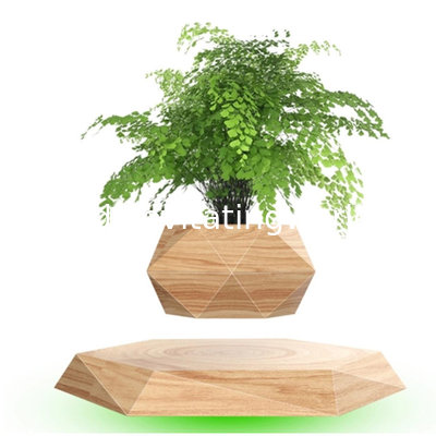 new hotsale magnetic levitation floating bottom air bonsai plant tree flowerpot