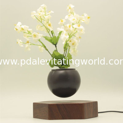 wooden base creative magnetic levitation floating air bonsai plant tree flowerpotted for gift