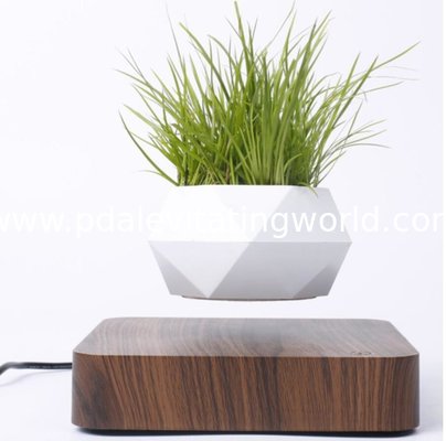 hotsale 360 rotating magnetic levitation air bonsai plant tree flowerpot for home gift decor PA-0734
