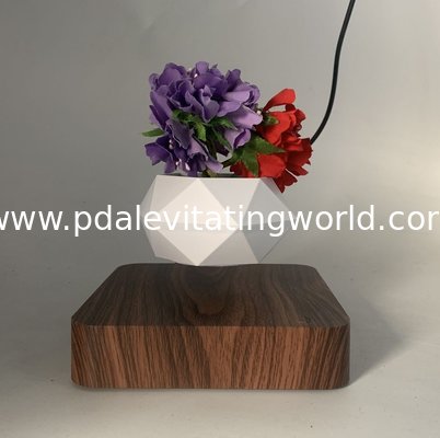 new hotsale magnetic levitation floating bottom air bonsai plant tree pot
