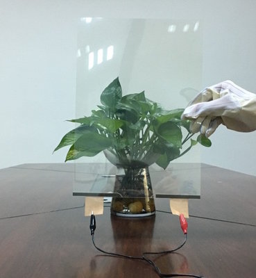 PDLC Magic Glass Film Smart Glass 10mm PDLC Self Adhesive Smart Glass Film