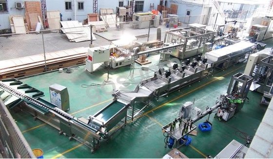 Fruits And Vegetables 380V Washing Drying Machine