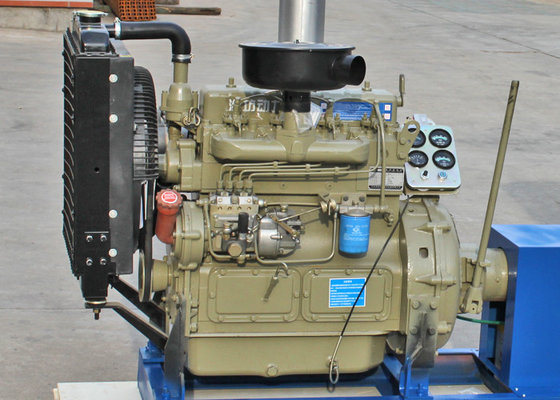Diesel Engine Pellet Making Machine For Sale