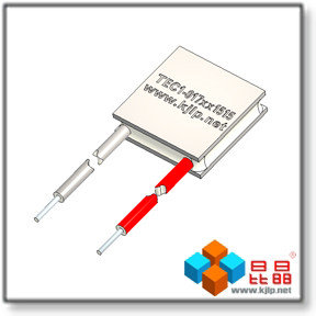 China TEC1-017 Series (15x15mm) Peltier Chip/Peltier Module/Thermoelectric Chip/TEC/Cooler supplier