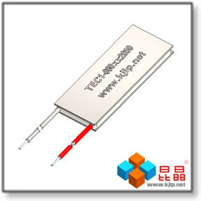 China TEC1-080 Series (20x50mm) Peltier Chip/Peltier Module/Thermoelectric Chip/TEC/Cooler supplier