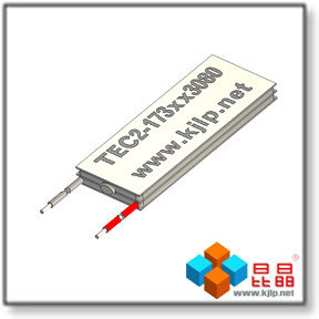 China TEC2-173 Series (Cold 30x80mm + Hot 30x80mm) Peltier Chip/Peltier Module/Thermoelectric Chip/TEC/Cooler supplier