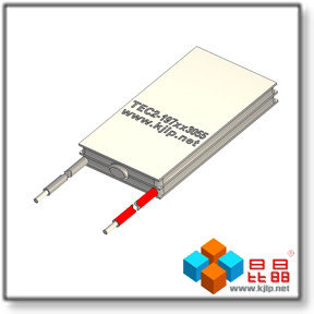 China TEC2-197 Series (30x55mm) Peltier Chip/Peltier Module/Thermoelectric Chip/TEC/Cooler supplier