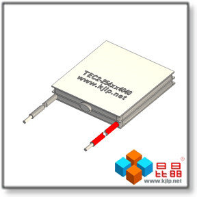 China TEC2-254 Series (Cold 40x40mm + Hot 40x40mm) Peltier Chip/Peltier Module/Thermoelectric Chip/TEC/Cooler supplier