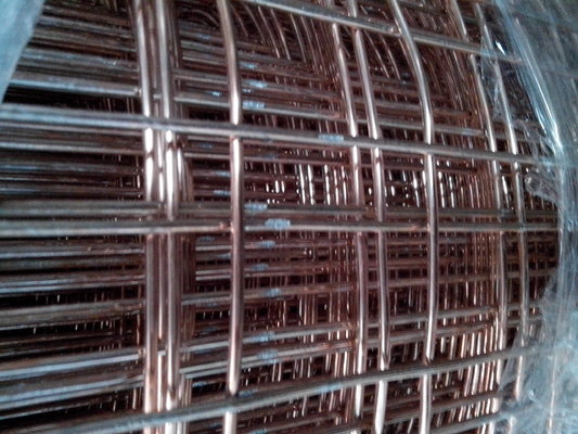 Double Welded Wire Mesh Fence For Outdoor , Carbon Steel Or Stainless Steel