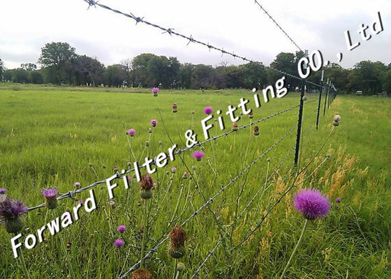 Barbed Mesh Garden Fence Pvc Coated Chain Link Fencing SS302