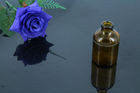 Transparent Cylinder Shape 15 / 30 / 50ml PP Airless Cosmetic Bottle