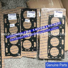 3681E051 3681E052 original Perkins CYL Head Gasket for CAT/Caterpillar C4.4 C6.6 genuine engine parts