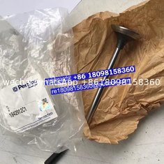 Inlet valve  Exhaust Valve For International/ Navistar 1842913C1 1842912C1 DT466 T444E Perkins 1306E generator engine