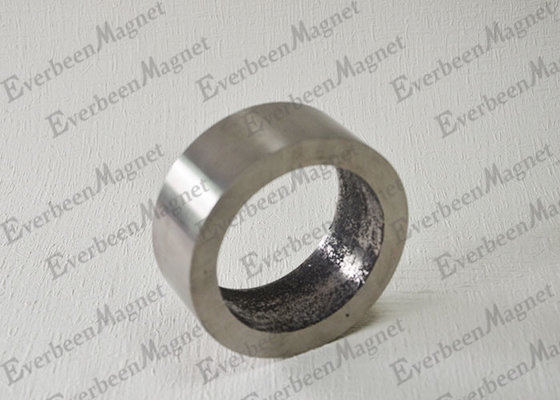 Alnico 3  Permanent Alnico Permanent Magnets for Chuck Corrosion High Temp Customized