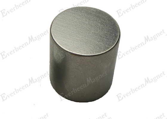 Big Neodymium NdFeB Permanent Magnets Rare Earth Round Nickel Used in Printer and Switchboard