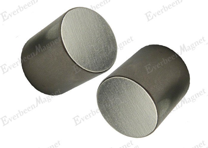 Big Neodymium NdFeB Permanent Magnets Rare Earth Round Nickel Used in Printer and Switchboard
