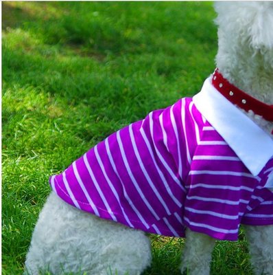 Personalized Dog Clothes T Shirts