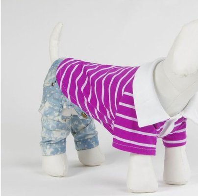 Personalized Dog Clothes T Shirts