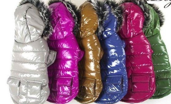 Akita Alaskan Malamute Personalized Dog Clothes , Poodle Clothing For Winter Coats