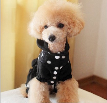 Cute Girl Blue Cotton Polka Dot Casual Winter Clothes For Small Dogs , PET Accessories