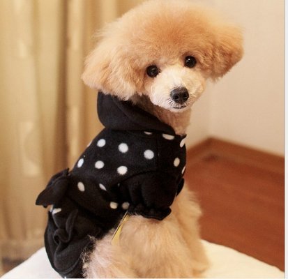 Cute Girl Blue Cotton Polka Dot Casual Winter Clothes For Small Dogs , PET Accessories