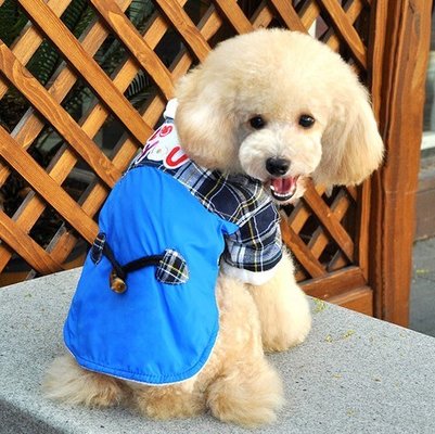 Personalized Europe style Blue Cotton Dog Costume Coat For Large Dogs For PET Warmly / Autumn clothes