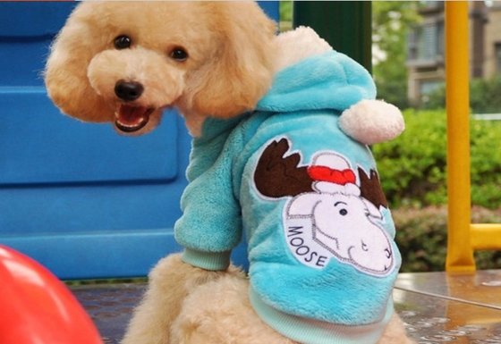 Personalized Luxury Comfortable Red Hooded Sweatshirt XS S M L XXL For Dogs , Cat