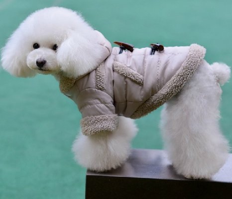 OEM Personalized Dog Clothes for Winter , PET Apparel Size XX XL