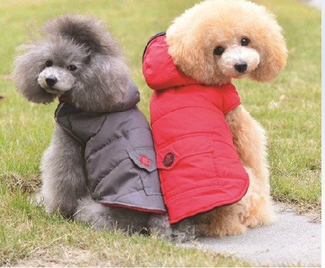 Personalized Dog Clothes Red Color For Cool Weather And Winter Dog Coats