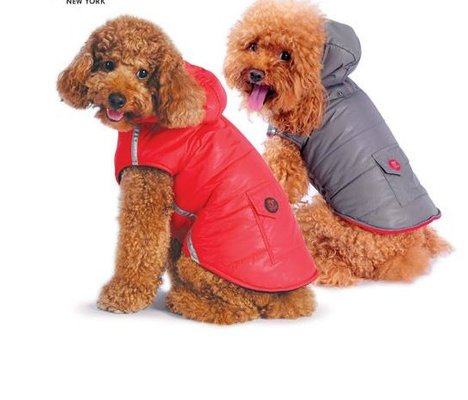 Personalized Dog Clothes Red Color For Cool Weather And Winter Dog Coats