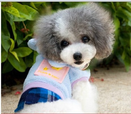 Custom Personalized Dog Clothes Hoodie / Eco-Friendly Cotton PET Apparel Pink Color