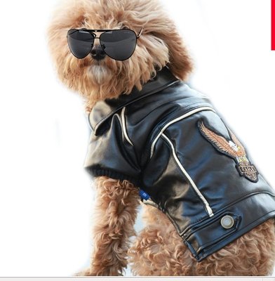 Big Small Personalized Pet Dog Clothes Leather Jacket Brown , Black Color For Winter