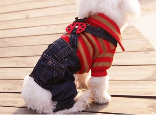 100% Polyester Otterhound / Harrier Jumpsuits Personalized Dog Winter Warm Clothes And Puppy Apparel