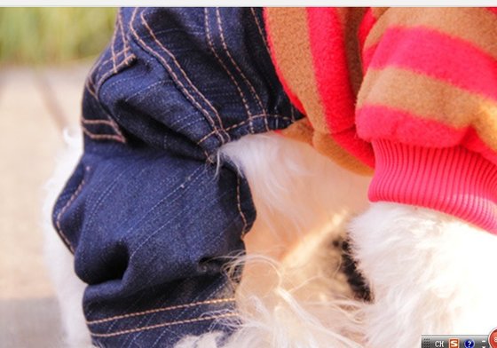100% Polyester Otterhound / Harrier Jumpsuits Personalized Dog Winter Warm Clothes And Puppy Apparel