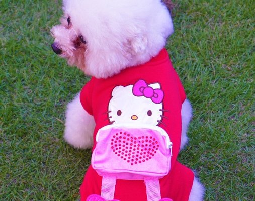 Eco-Friendly Kitty Cat Personalized Whippet Dog Clothes Sweaters , XXS Dog Winter Clothes