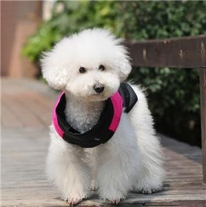 Custom Bichon Frise Clothes Waterproof Winter Dog Coats Size XXL XL