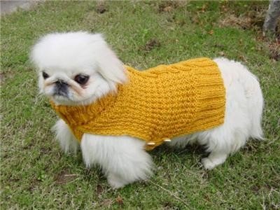 Hand Knitted Winter Dog Coats
