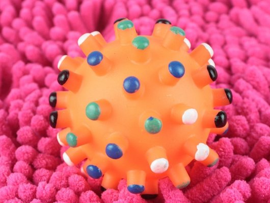 Pet Silicone dog toys