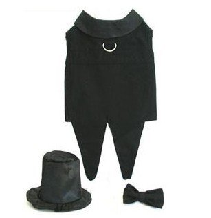Wedding Pomeranian Dog Formal Wear Tuxedo Black With Tail , Top Hat , Bow Tie Collar