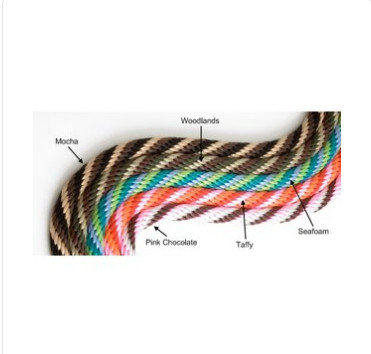 Custom 4 or 6 foot braided rope Dog Walker Martingale Leash