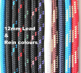 Polyester Double Braided Rope Dog Leash For Dogs , 10 Ft With Low Abrasive