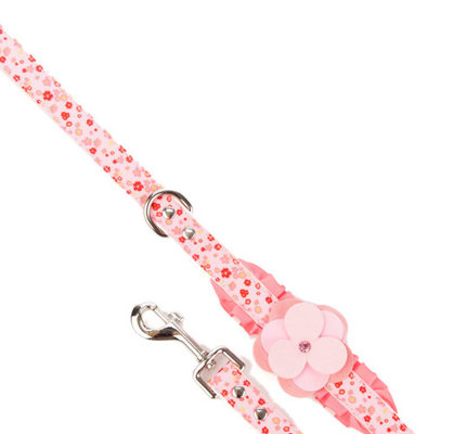 Personalized dog collar and Martha Stewart Pets Pink Floral Ruffle Leash for Girl
