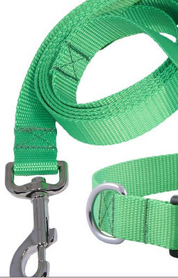 Durable Reflective Rope nylon dog leash green color CE & ROHS