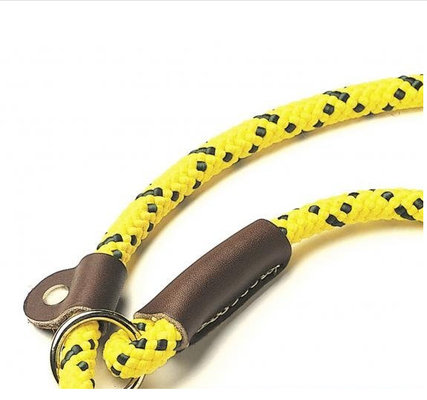 Yellow Mendota Slip Rope Dog Leash 6ft X 1/2in , Customized For Small Dog Harness