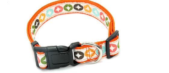 Customized colorful Rope Dog Leash / Pet product for Dog trainer