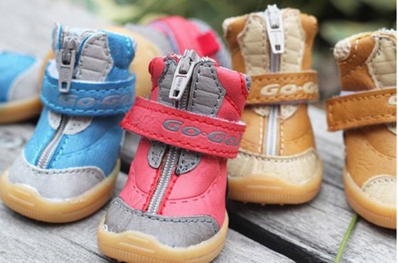 Colorful Eco-Friendly PET S / M / XL Dog Shoes with canvas + PVC